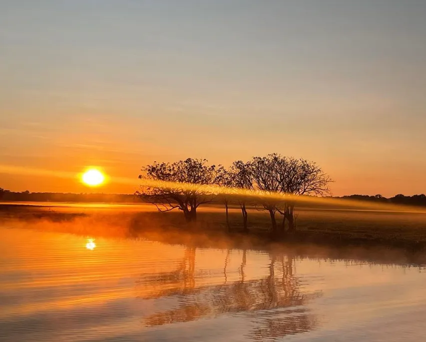 Wildlife Spotting in Kakadu: Where to Find Crocodiles and Other Animals
